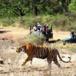 Jaipur Ranthambore Same Day Tour (Ask us on Email before booking) - Detailed Breakdown of the Itinerary