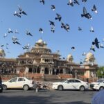 Jaipur Sightseeing By Car, Driver and Guide - Authentic Reviews and Insights