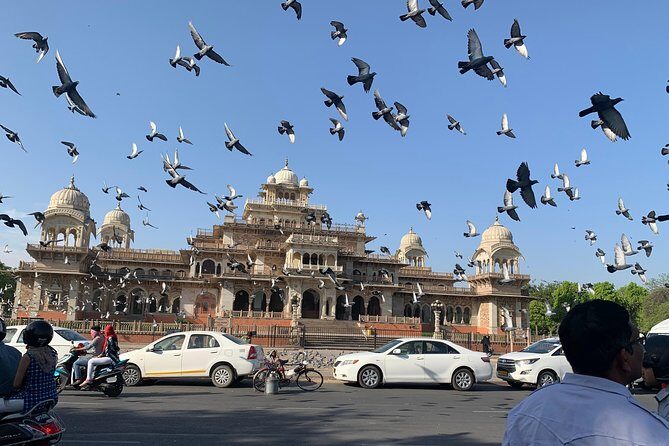 Jaipur Sightseeing By Car, Driver and Guide - Authentic Reviews and Insights