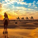 Jaisalmer: 2 Days Adventure in the Thar Desert - The Value of the Tour: How It Adds Up