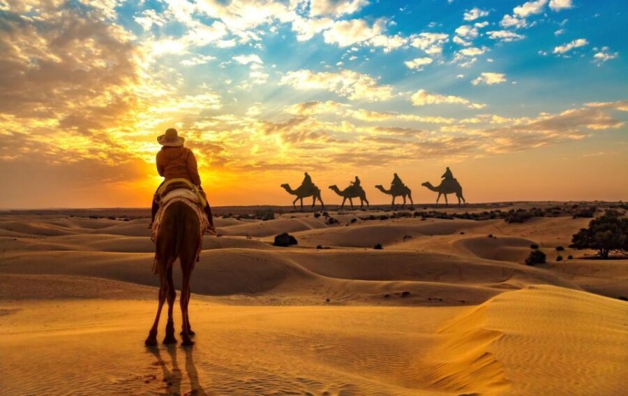 Jaisalmer: 2 Days Adventure in the Thar Desert - The Value of the Tour: How It Adds Up