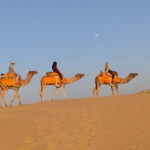 Jaisalmer: Half-Day Camel Tour with Dinner - The Experience Provider and Practical Details