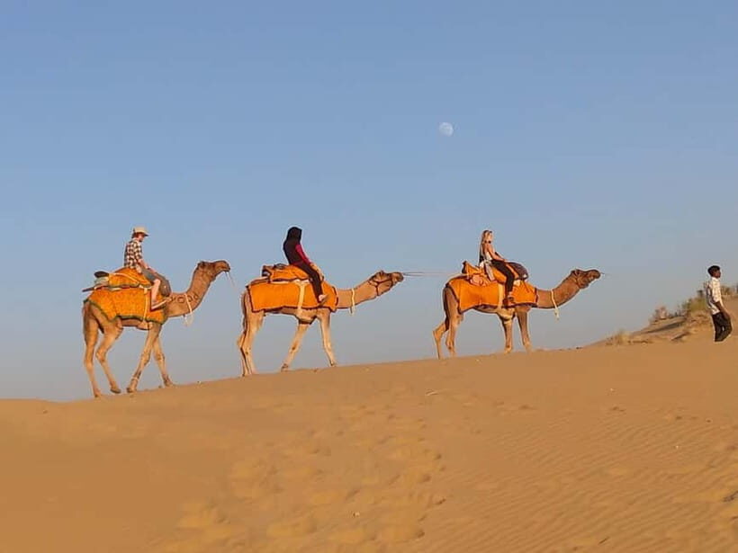 Jaisalmer: Half-Day Camel Tour with Dinner - The Experience Provider and Practical Details