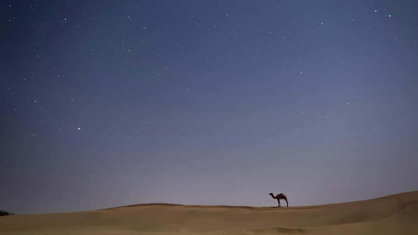 Jaisalmer: Overnight stay under the stars with camel safari - FAQs
