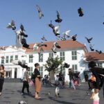 Jakarta Tour With Guide include Lunch - Final Thoughts