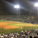 Japan Baseball Tour - Catch a Live Game in Tokyo with a Local - In-Depth Look at the Itinerary