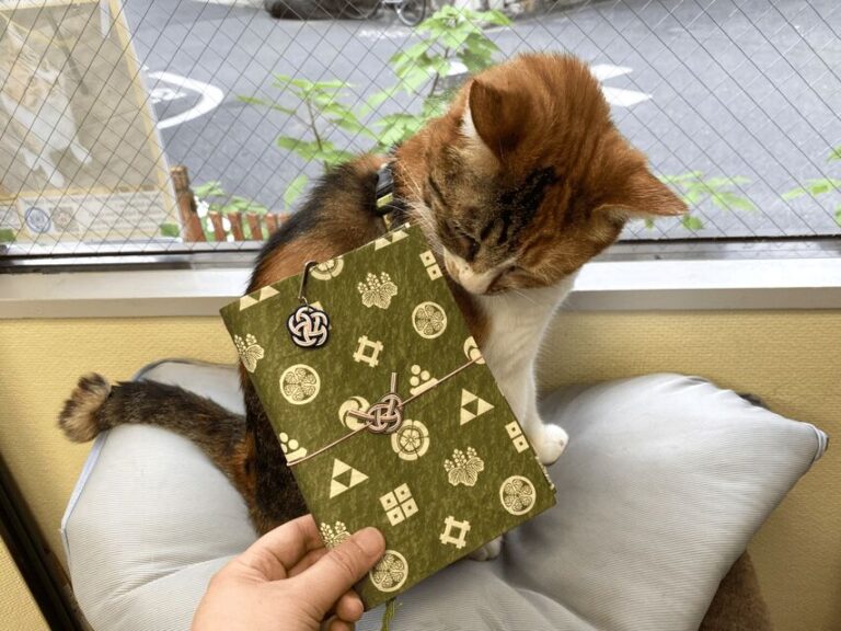 Japanese paper Notebook and Mizuhiki Belt Bookmark Workshop - The Step-by-Step Experience