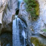 Jasper Wildlife and Waterfalls Tour with Maligne Lake Hike - Authentic Encounters and Real Traveler Insights