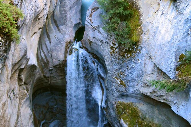 Jasper Wildlife and Waterfalls Tour with Maligne Lake Hike - Authentic Encounters and Real Traveler Insights