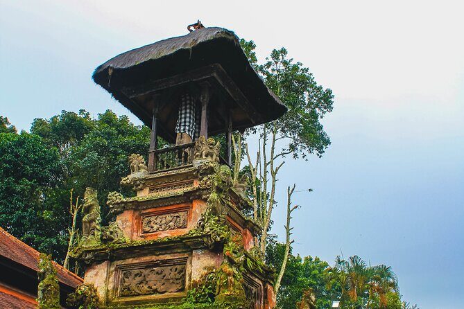 Jatiluwih Batukaru Mountain Nature's Best Tour - Authentic Experiences and Practical Insights