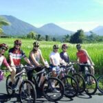 Jatiluwih in detail (1 h. e-bike tour in the rice terraces) - The Ride and Stops