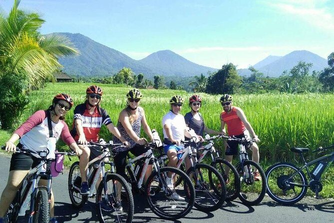 Jatiluwih in detail (1 h. e-bike tour in the rice terraces) - The Ride and Stops