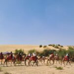 Jeep & Camel Ride, Musical Evening in The Desert Luxury Camp - Why This Tour Stands Out