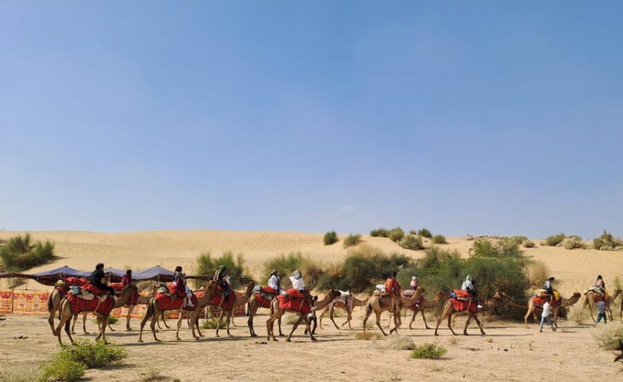 Jeep & Camel Ride, Musical Evening in The Desert Luxury Camp - Why This Tour Stands Out