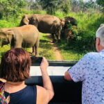 Jeep Safari - What to Expect on the Ground