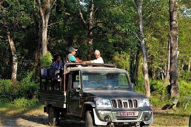 Jeep Safari in Chitwan National Park - What’s Included and What’s Not: Evaluating Value