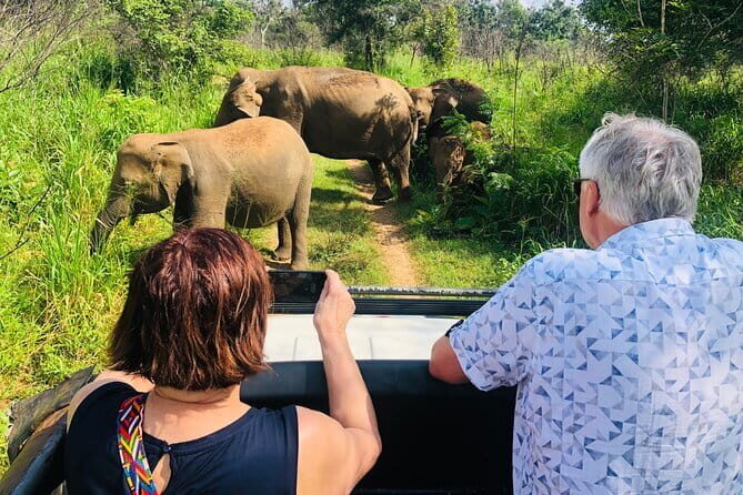 Jeep Safari - What to Expect on the Ground