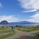 Jeju 4.3 Incident History & Cultural Tour with a Guide (SW) - The Practical Side: Transportation, Duration, and Value