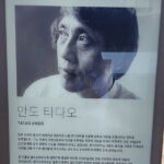 Jeju Art & Culture Tour: Bonte Museum- Tadao Ando, Arte Museum - Why Choose This Tour?