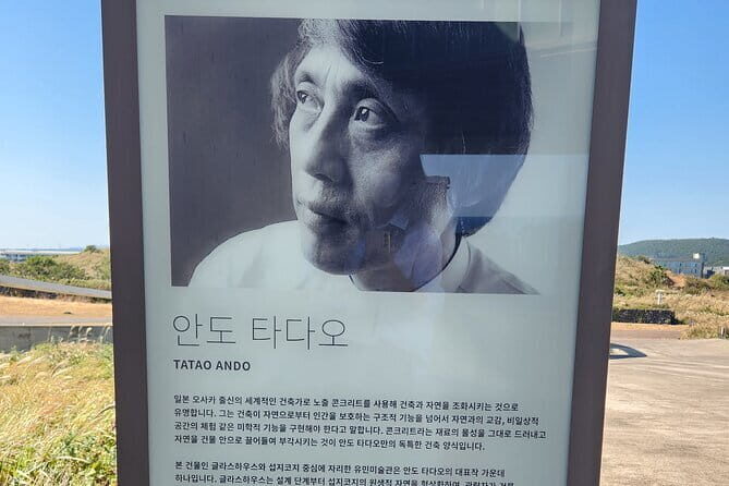 Jeju Art & Culture Tour: Bonte Museum- Tadao Ando, Arte Museum - Why Choose This Tour?