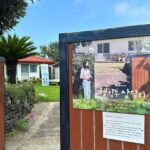 Jeju BTS & K-drama Small Group Day Tour including Snoopy Garden - In-Depth Breakdown of the Itinerary