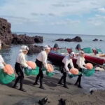 Jeju: Customized Private Vehicle Day Tour - Exploring the Itinerary Choices
