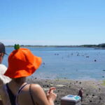 Jeju: Eastern UNESCO Join in Tour (Seongsan, Haenyeo) - What Makes This Tour Stand Out