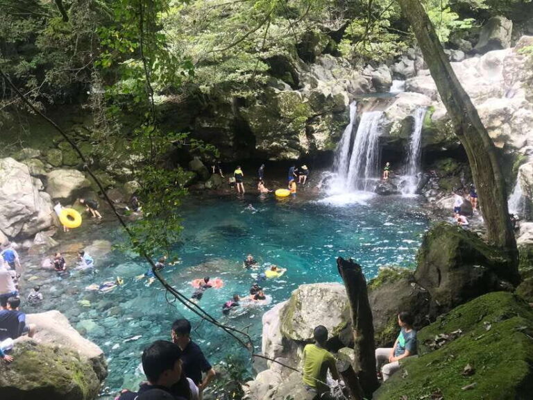 Jeju island: Van tour with a guide who the most loves JEJU - The Practicalities: What You Need to Know