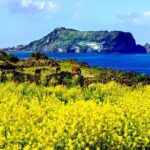 Jeju Premium Small Group UNESCO Day Tour - East Course - The Highlights: What You’ll See and Do