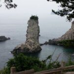 JEJU TAXI TOUR - East of jeju ( Included Drop-off Jeju Airport ) - What Does This Tour Mean for You?