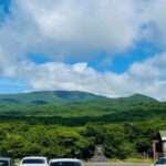 Jeju Western and Southern Routes Sightseeing Day Tour - Reflecting on Guest Feedback