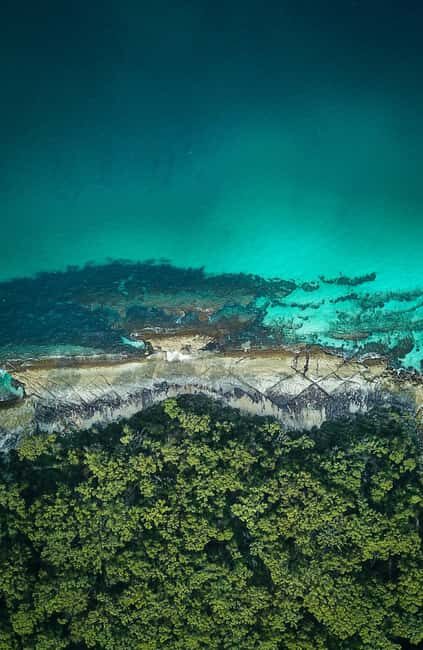 Jervis Bay, Kiama & Kangaroo Valley Day Trip From Sydney-PVT - A Closer Look at the Itinerary and Its Highlights