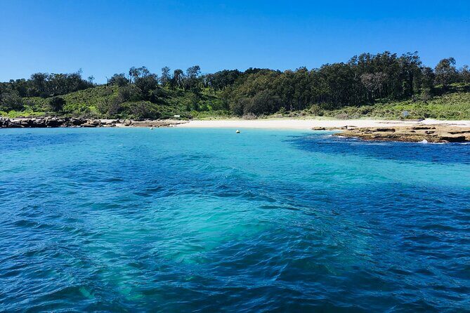 Jervis Bay Passage Tour - Who Should Consider This Tour?