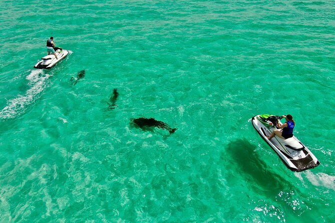 Jet Ski Dolphin Tour from Gilligans Watersports - The Itinerary – A Closer Look