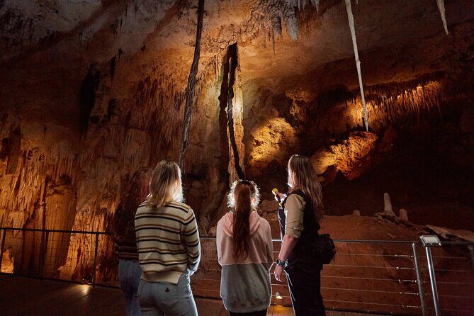 Jewel Cave Fully-guided Tour (Located in Western Australia) - Who Will Love This Tour?