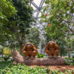 Jewel Changi Airport: Mirror Maze and Canopy Park Ticket - Exploring Jewel Changis Mirror Maze: A Closer Look