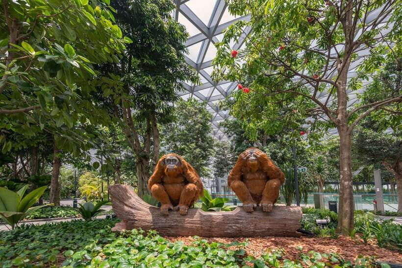 Jewel Changi Airport: Mirror Maze and Canopy Park Ticket - Exploring Jewel Changis Mirror Maze: A Closer Look