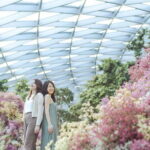 Jewel Changi Airport Tickets in Singapore - Exploring the Jewel Changi Airport Experience