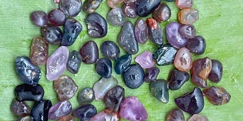 Jewel Hunt Tour of Colombo Shore Excursion from Colombo Port - The Itinerary in Detail