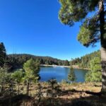 Jilotzingo: Forest Bathing and Temazcal Healing Experience - Key Points