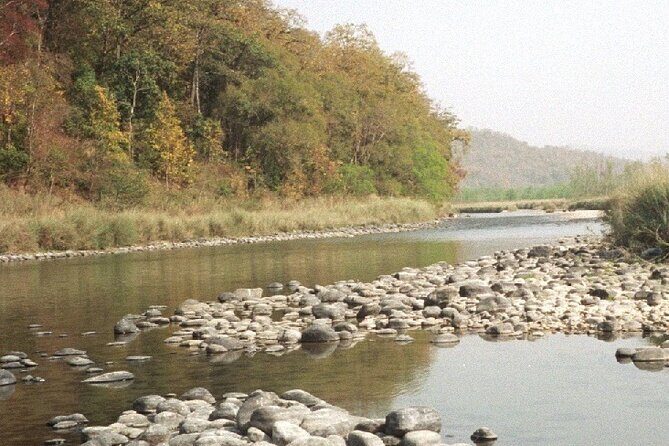 Jim Corbett with Nanital Tour - Key Points