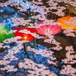 Jinhae Gunhangje Night Tour - Transportation and Practicalities
