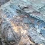 Jinsha&Sanxingdui archaeological site private day tour - What Does the Price Cover?