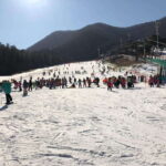 Jisan Forest Ski Resort One Day Tour - What to Expect: A Closer Look at the Day