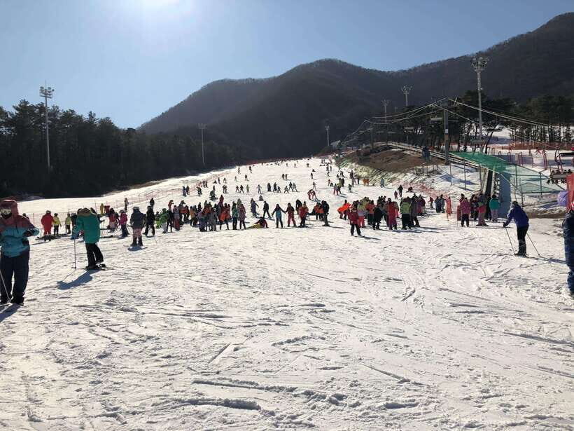 Jisan Forest Ski Resort One Day Tour - What to Expect: A Closer Look at the Day