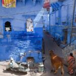 Jodhpur Blue City Tour - The Sum Up