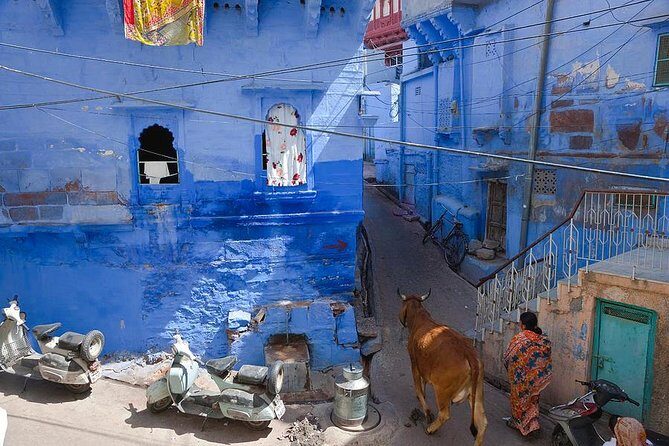 Jodhpur Blue City Tour - The Sum Up