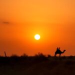 Jodhpur Camel Safari With Traditional Food With Sumer - How Does the Experience Add up?