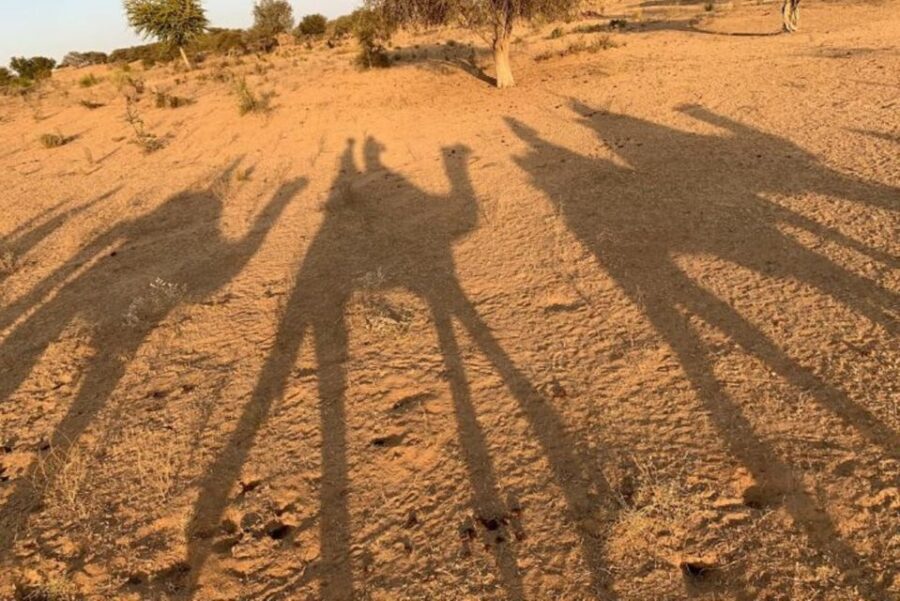 Jodhpur: Full-Day City Private Tour & Camel Safari - Who Will Love This Tour?