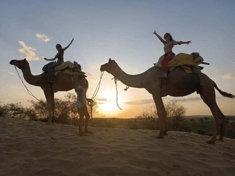 Jodhpur : Jeep Safari, Camel Ride,Buffet Dinner & Folk Dance - What Makes This Tour Stand Out?